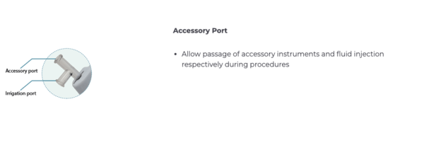 URS Disposable Digital Flexible Ureteroscope WISCOPE® - Orfe Tıbbi ...