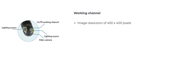 URS Disposable Digital Flexible Ureteroscope WISCOPE® - Orfe Tıbbi ...
